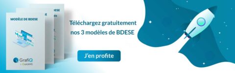 BDESE (ex BDES) et bilan social : quelle différence