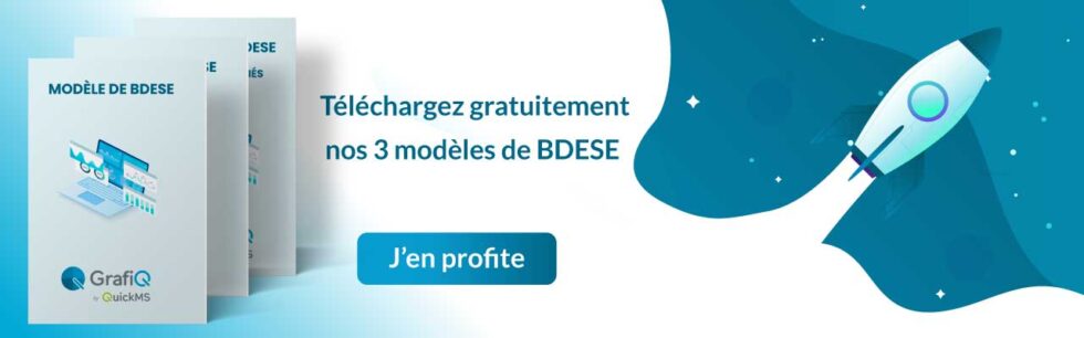 Contenu de la BDESE : les informations à connaître